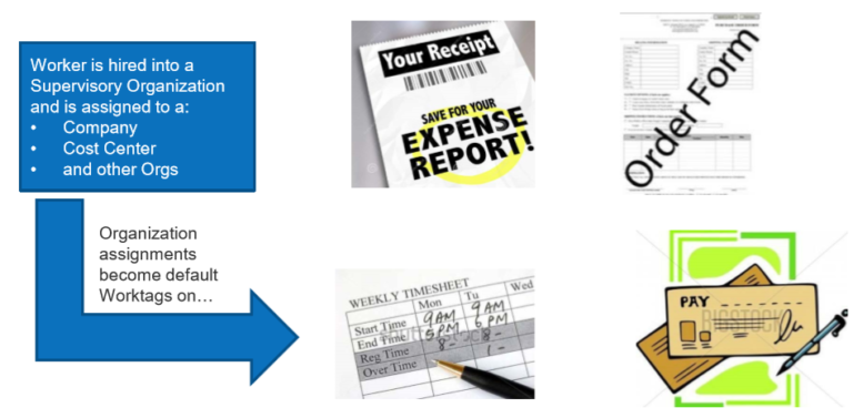 Workday Organization Tutorial - The only HCM course you need